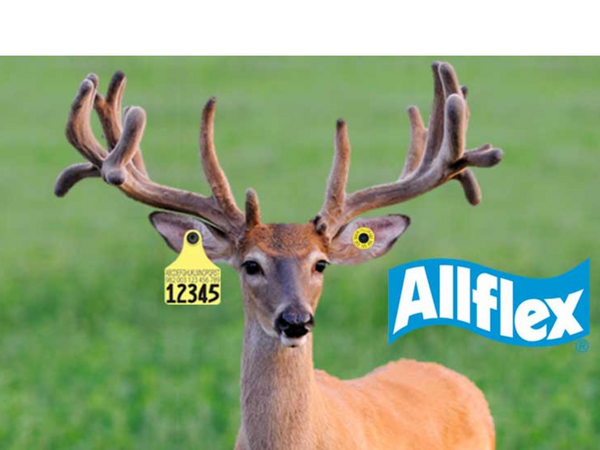 Allflex Tag Types & Customization – DeerTags.com