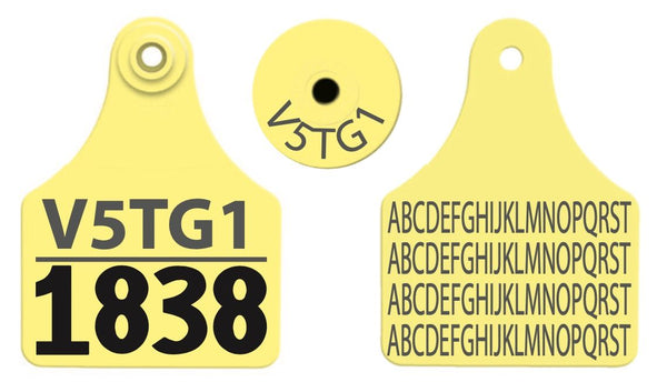 TPWD - Large Layout 5 - Yellow – DeerTags.com